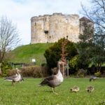 York City Pass Attractions | Places to Visit in York - The Visit York Pass